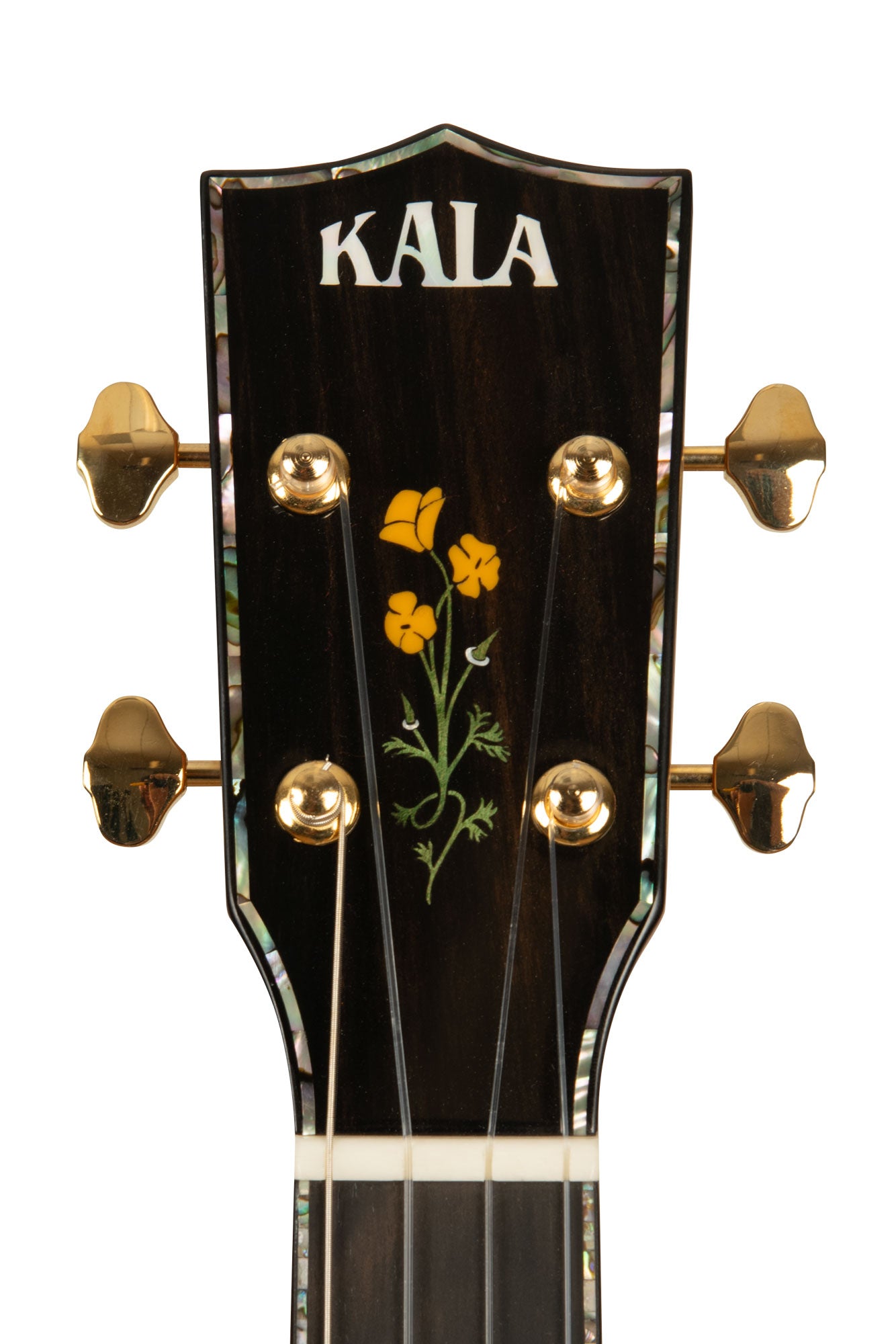 20th Anniversary Limited Collection – Kala Brand Music Co.™