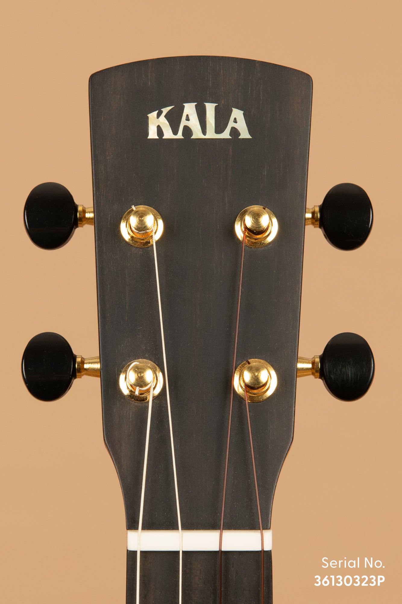 Kala Brand Music Co. – Kala Brand Music Co.™
