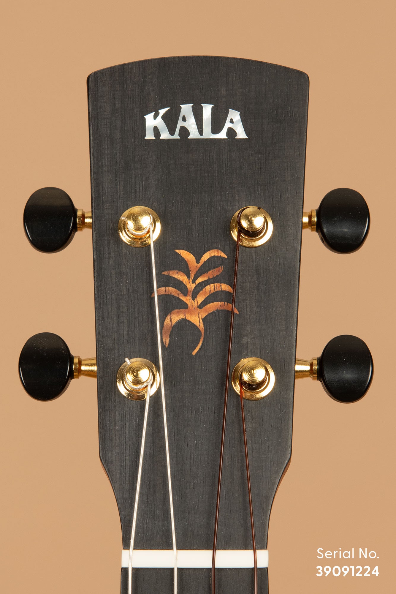 Kala Brand Music Co. – Kala Brand Music Co.™