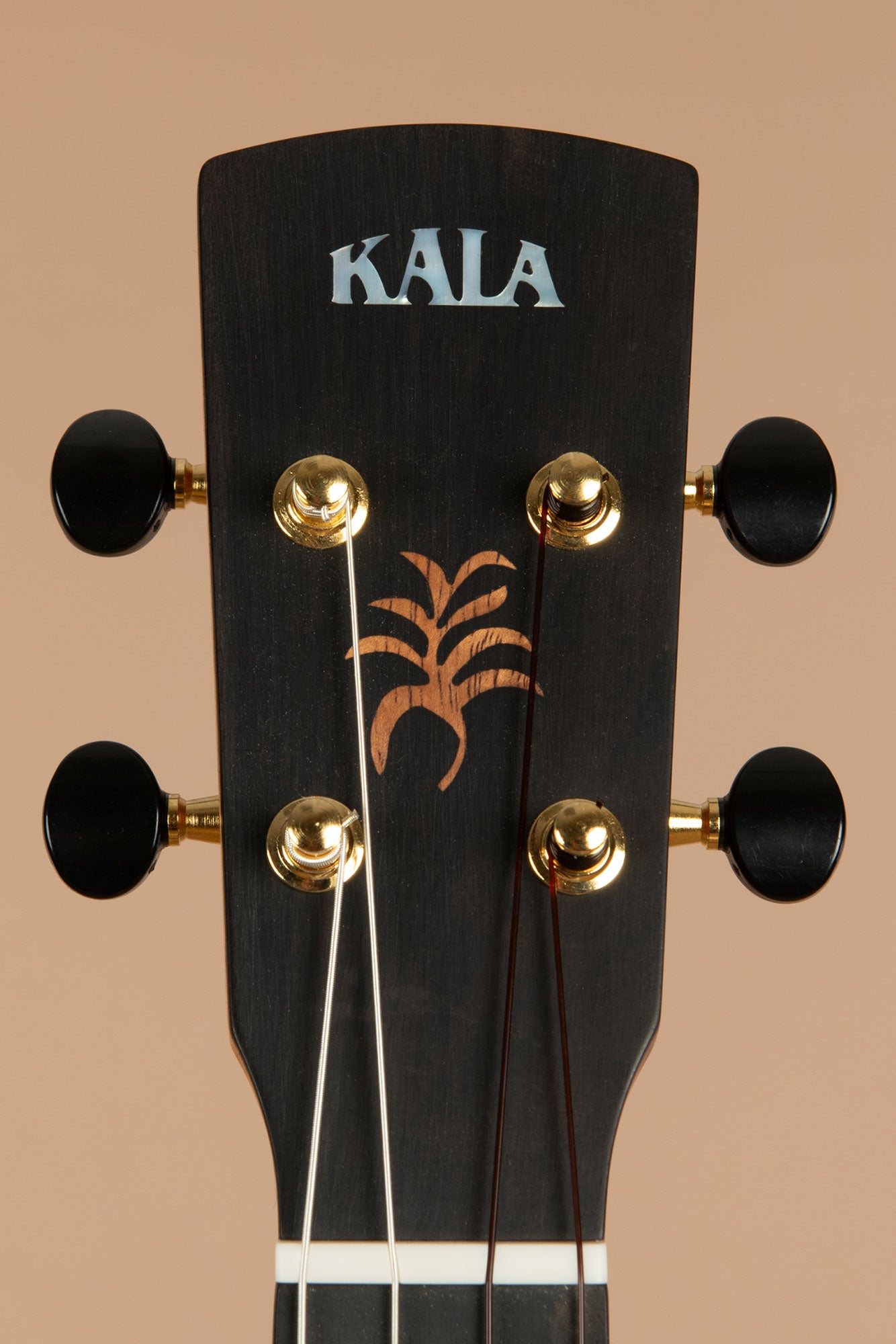 Kala Brand Music Co. – Kala Brand Music Co.™