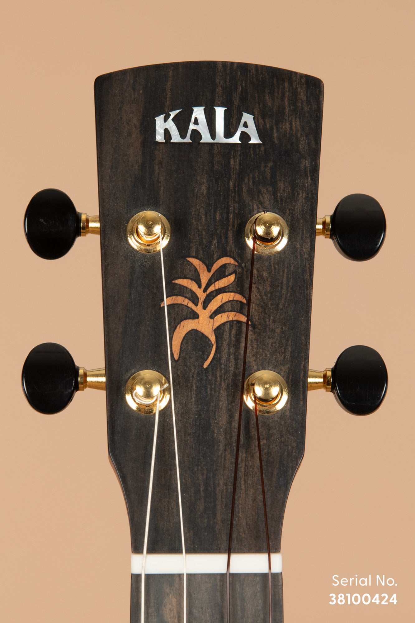 Kala Brand Music Co. – Kala Brand Music Co.™