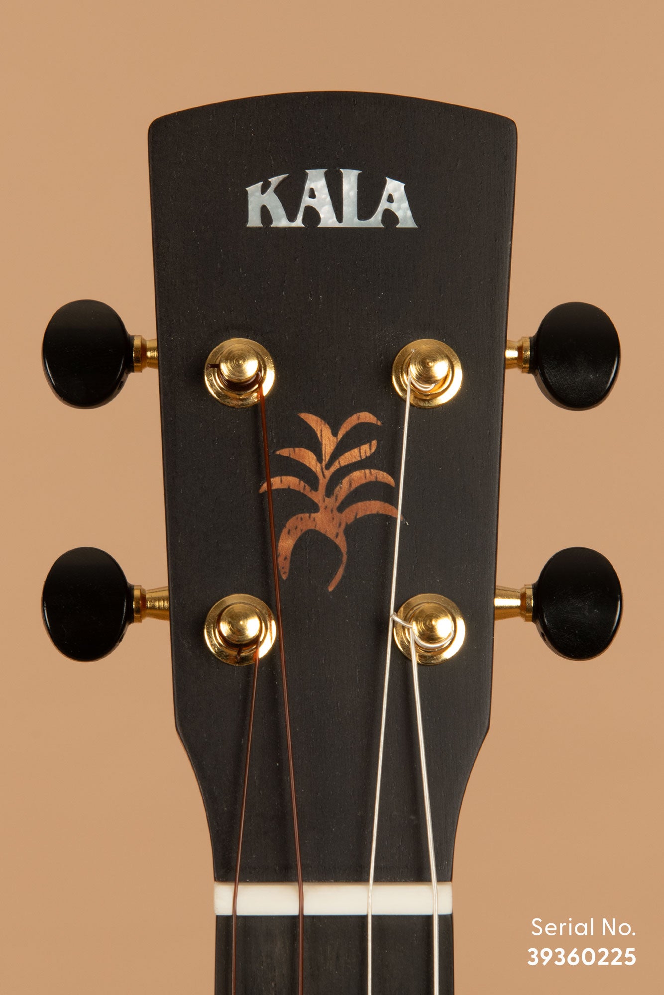 Kala Brand Music Co. – Kala Brand Music Co.™